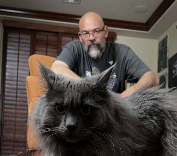 Who Is Aaron Goodwin? Ghost Adventures Star Faces Shocking Personal ...